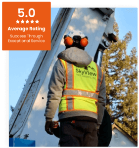 Tree Service in Santa Rosa & Rohnert Park CA | SkyView Tree Experts